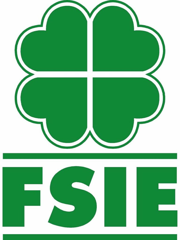 FSIE – Formación